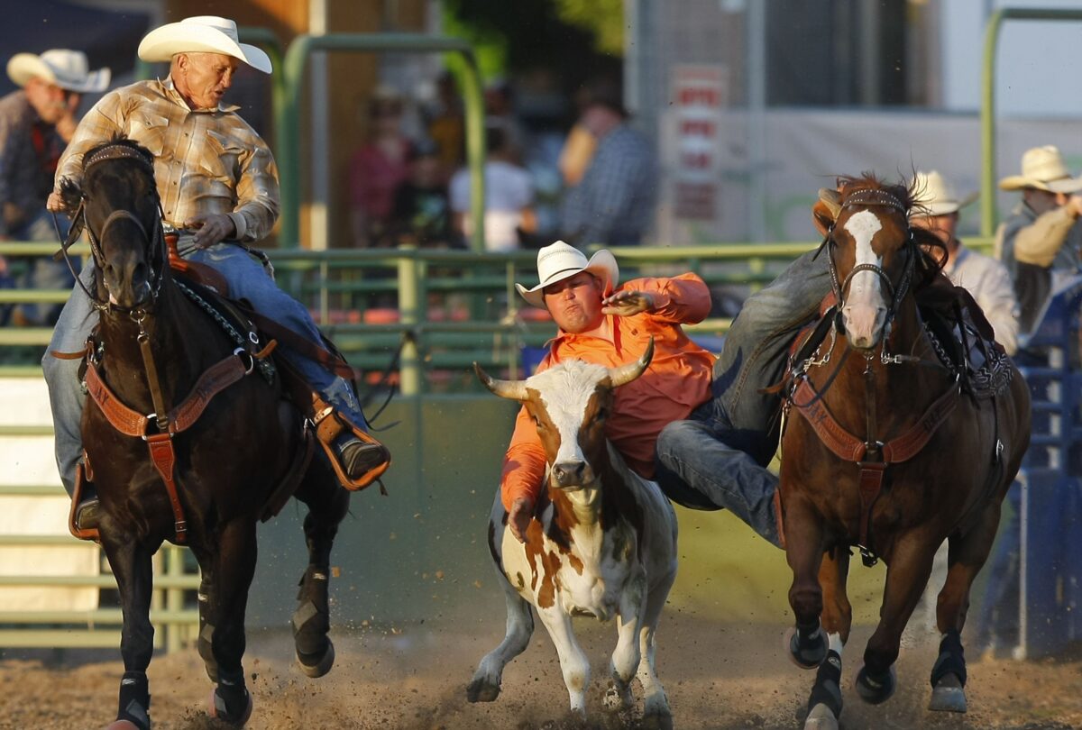 Ogden Pioneer Days Rodeo ranked in top five nationwide | News, Sports ...